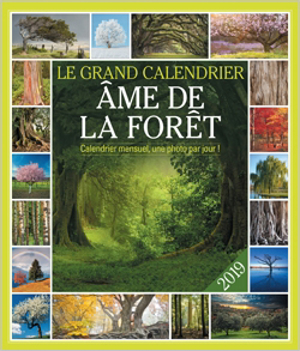 Ame de la forêt : le grand calendrier 2019 : calendrier mensuel, une ...