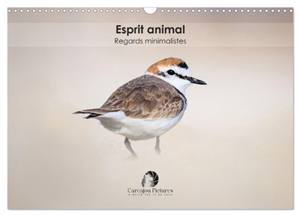 Martzel, Thomas - Esprit animal : Regards minimalistes (Calendrier ...